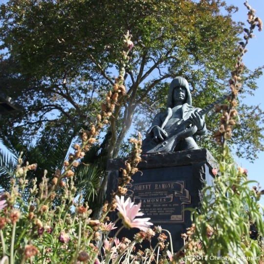June 17, 2017 Johnny Ramone statue through wildflowers at the Hollywood ...